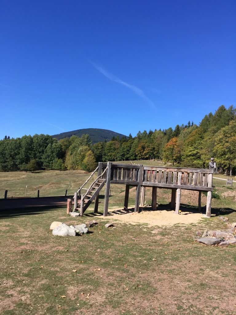 Farm for kids, farmapark Muchomurka - Eastern Europe Expat